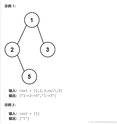 刷题训练之深搜（dfs） （二叉树的所有路径，全排列，子集）深搜全排列问题 Csdn博客