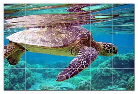 Turtle Ceramic Tile Mural Kitchen Backsplash Bathroom Shower 402942