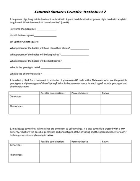 50 Punnett Square Practice Worksheets 18 Printable Pdf Template
