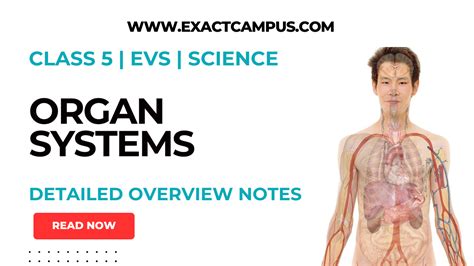 Understanding Organ Systems Class 5 Science Chapter Exact Campus