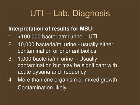 Lab Values Consistent With Uti At Jeramy Phillip Blog