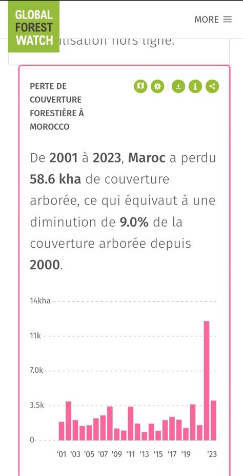 Mohamed El Yamani Posted On Linkedin