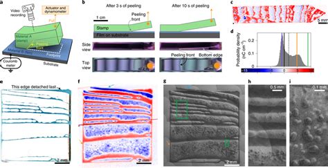 Visualization Of Bipolar Charge Mosaics A Scheme Of The Experiments Download Scientific