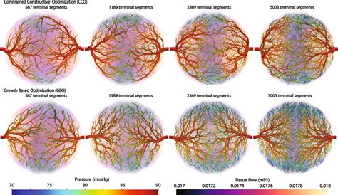 Generated Synthetic Tree Networks And Simulated Perfusion With A Download Scientific Diagram