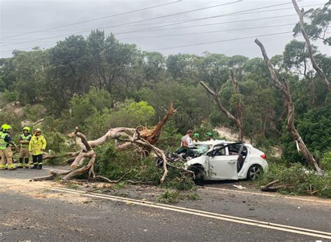 WOMAN IN CRITICAL CONDITION AFTER CRASHING INTO A TREE ON THE CENTRAL COAST NBN News