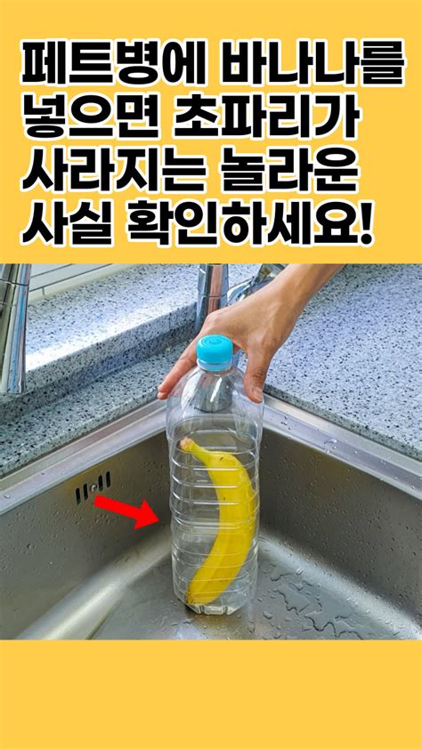 페트병과 바나나로 초파리 퇴치하는 방법 오늘의 숏 Beta