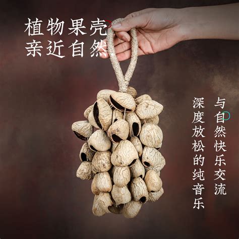 Terre手摇铃串铃果实伴奏asmr声音疗愈瑜伽冥想灵修早教乐器虎窝淘