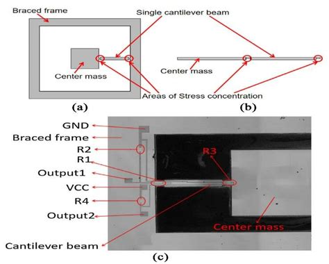 Microstructure Of A Bat Shaped Electronic Stethoscope Sensor A Top Download Scientific