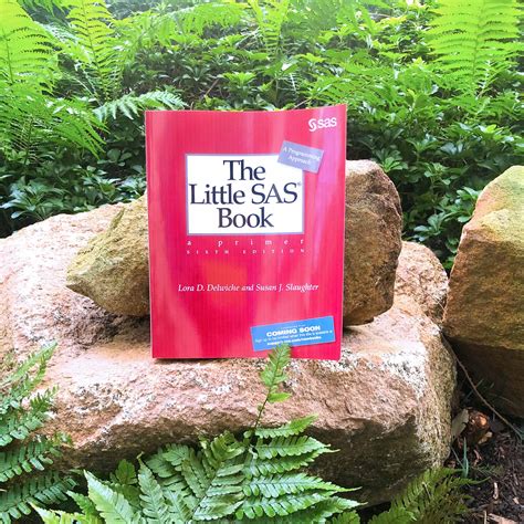The Little Sas Book 60 The Best Selling Sas Book Gets Even Better