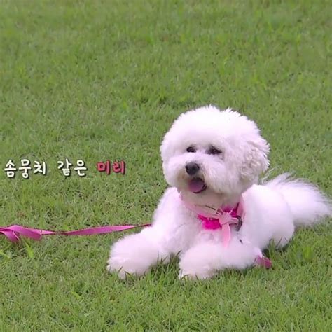 Prepare Yourself For 30 Seconds Of Cuteness Overlo Tumbex