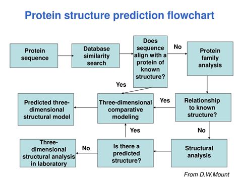 Protein Structure Prediction At Luca Harford Blog