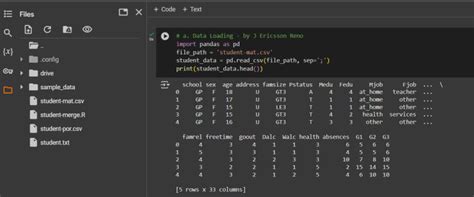 J Ericsson Reno On Linkedin Mainflow Python Task1