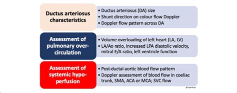 Summary Of An Approach To Echocardiographic Assessment Of PDA And Download Scientific Diagram