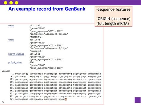 Note Several Slides Of This Powerpoints Have Notes Attached To Them