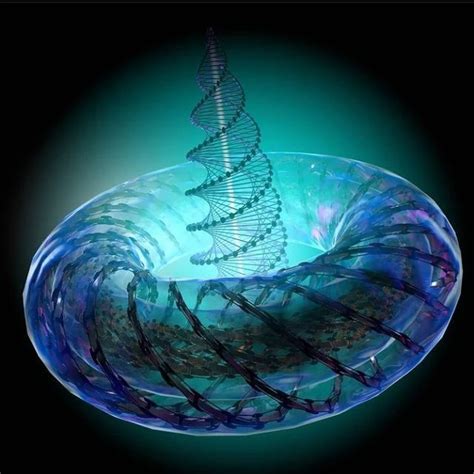 The Toroidal Dna A Fractal Antenna For Subtle Energy