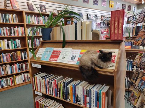 William Erwin Eisner A Perspective The Pensive Reverie