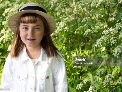 예쁜 어린 소녀가 꽃을 따고 있습니다 밀짚 모자를 쓴 햇볕이 잘 드는 아이가 초록색 숲에서 민들레를 따고 있다 여름 소녀입니다 귀여운에 대한 스톡 사진 및 기타 이미지