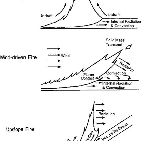 Differences In Fire Behavior Caused By Wind And Slope Download
