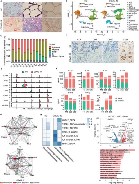Pathological Manifestations And Single‐cell Transcriptomes Of The Download Scientific Diagram