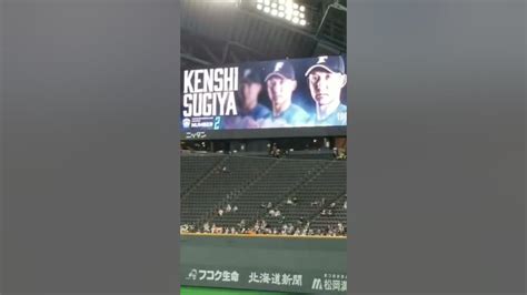 【帝京魂！！】噂のスギノール 杉谷拳士 石橋貴明作の登場曲で沸かせる Youtube