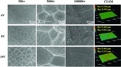 Sem And Clsm Results Of The Prepared Ordered Micro Nano Hierarchical