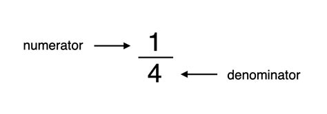 Fractions Decimals And Percentages Explained By PlanBee