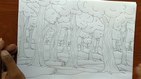 How To Draw Forest Scene Step By Step Forest Drawing For Beginner
