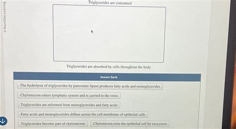 Solved Triglycerides Are ConsumedTriglycerides Are Absorbed Chegg