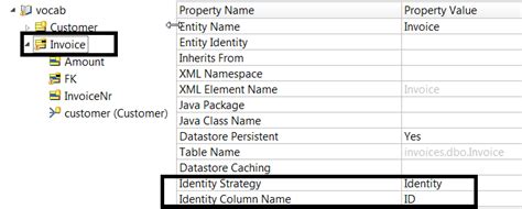 Orghibernatemappingexception When Validating Database Mappings With