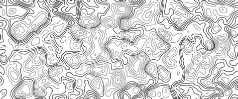 Abstract Blank Detailed Topographic Contour Map Subtle White Vector