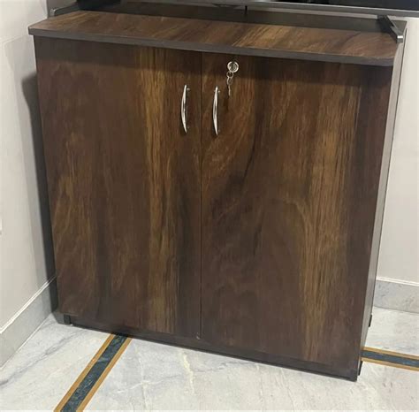 Multi Purpose Storage Cabinet At Rs 2500 Storage Cabinets In Jaipur Id 2854017075912