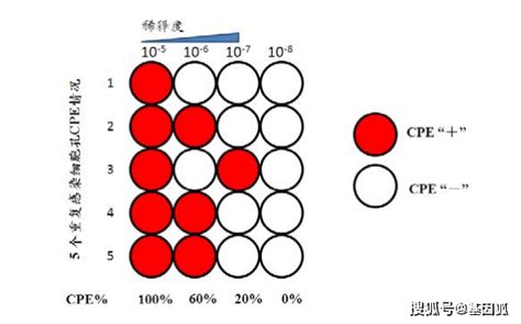 经验分享：病毒半数组织感染量（tcid50）简介 细胞 进行 统计原理