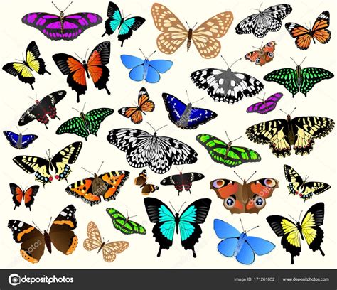 Vector De Fondo De Mariposas Vector De Stock 171261852 De Eyematrix