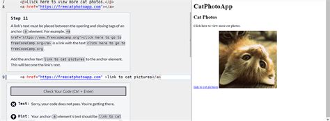 learn html by building a cat photo app step 11 html css the freecodecamp forum