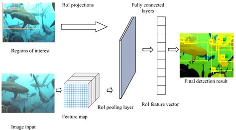 Analysis Of The Performance Of Faster R Cnn And Yolov8 In Detecting