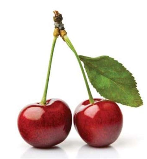 もぎたて性格診断 あなたはどのフルーツを狩りますか？ Two Red Cherries