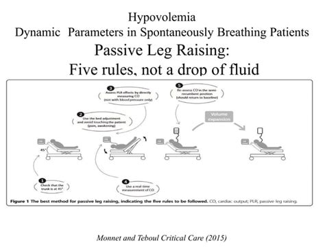 Basics Of Tte And Tee Trans Esophageal Echopptx