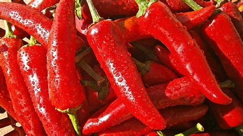 Royalty Free Photo Red Chili Pickpik
