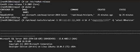 Centos 7下基于docker运行sql Server 2019(记录) 海口 熟练工 博客园 Centos 7下基于docker运行sql Server 2019(记录) 海口 熟练工 博客园