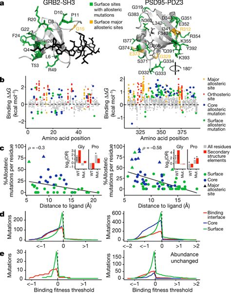 Protein Surfaces Are Frequent Sites Of Binding Affinity Modulation A Download Scientific