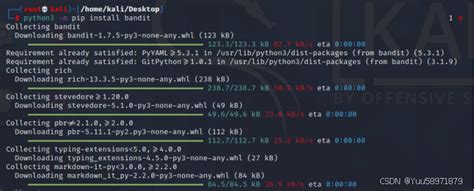 使用bandit进行python代码安全扫描：从安装到实战python Bandit Csdn博客