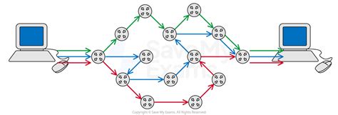 Packet Switching IGCSE Computer Science Revision Notes
