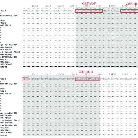 Nucleotide Sequence Alignment Of 23 Sars Cov 2 Orf1ab Genomic Regions Download Scientific