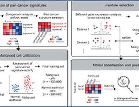 Scwizard A Web Based Automated Tool For Classifying And Annotating Single Cells And Downstream