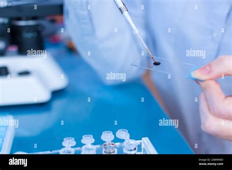 Microscope Slide In The Laboratory Stock Photo Alamy
