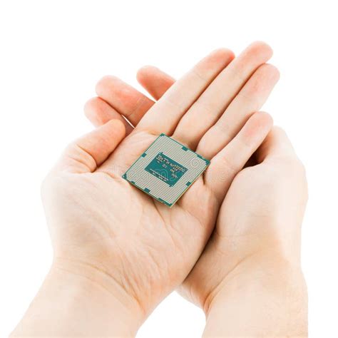Computer S Processor In Hand Isolated On A White Background Stock Image