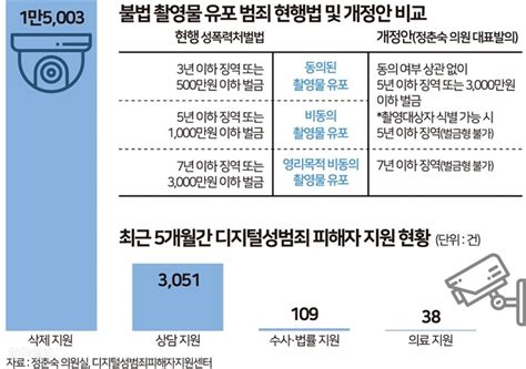 리벤지 포르노 대책 1년 국가가 피해 방치했다
