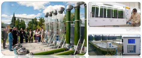 Microalgae Biomass Photobioreactor Prototype Co2capture Biotechnology Bioprocessing