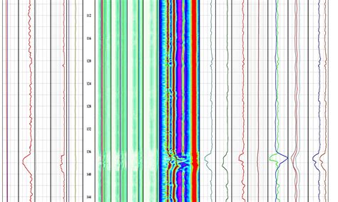 Gamma Gamma Density Terra Logging Data Services