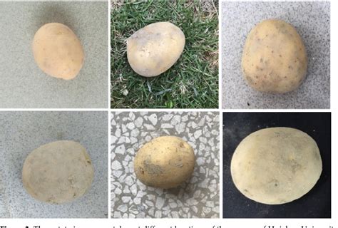 Figure 2 From Potato Surface Defect Detection Based On Deep Transfer Learning Semantic Scholar